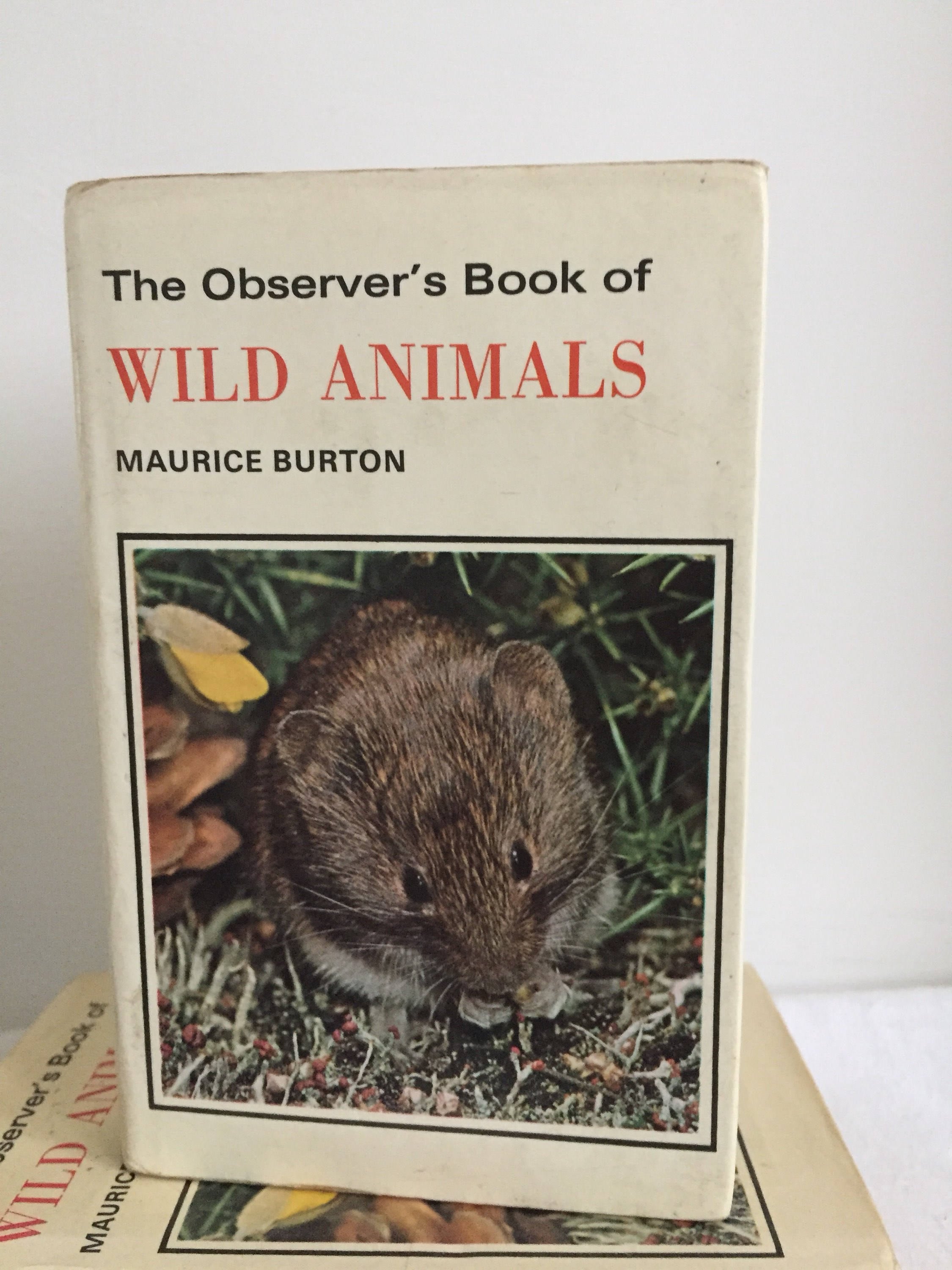 Vintage 1971 Observers Guide Book to Wildanimals | Etsy