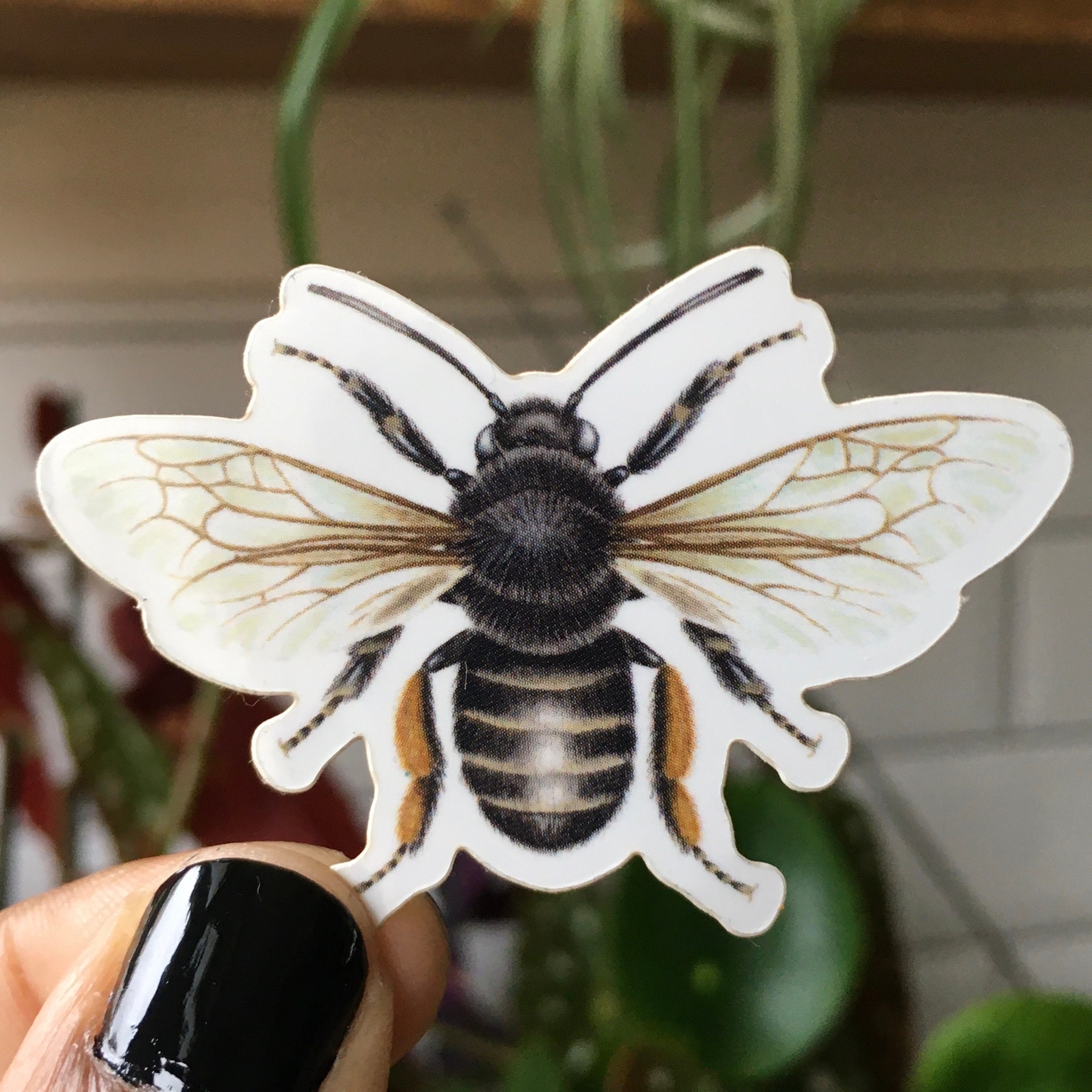 Vinyl Bee Sticker Weatherproof Gothic Wildlife Steampunk - Etsy UK