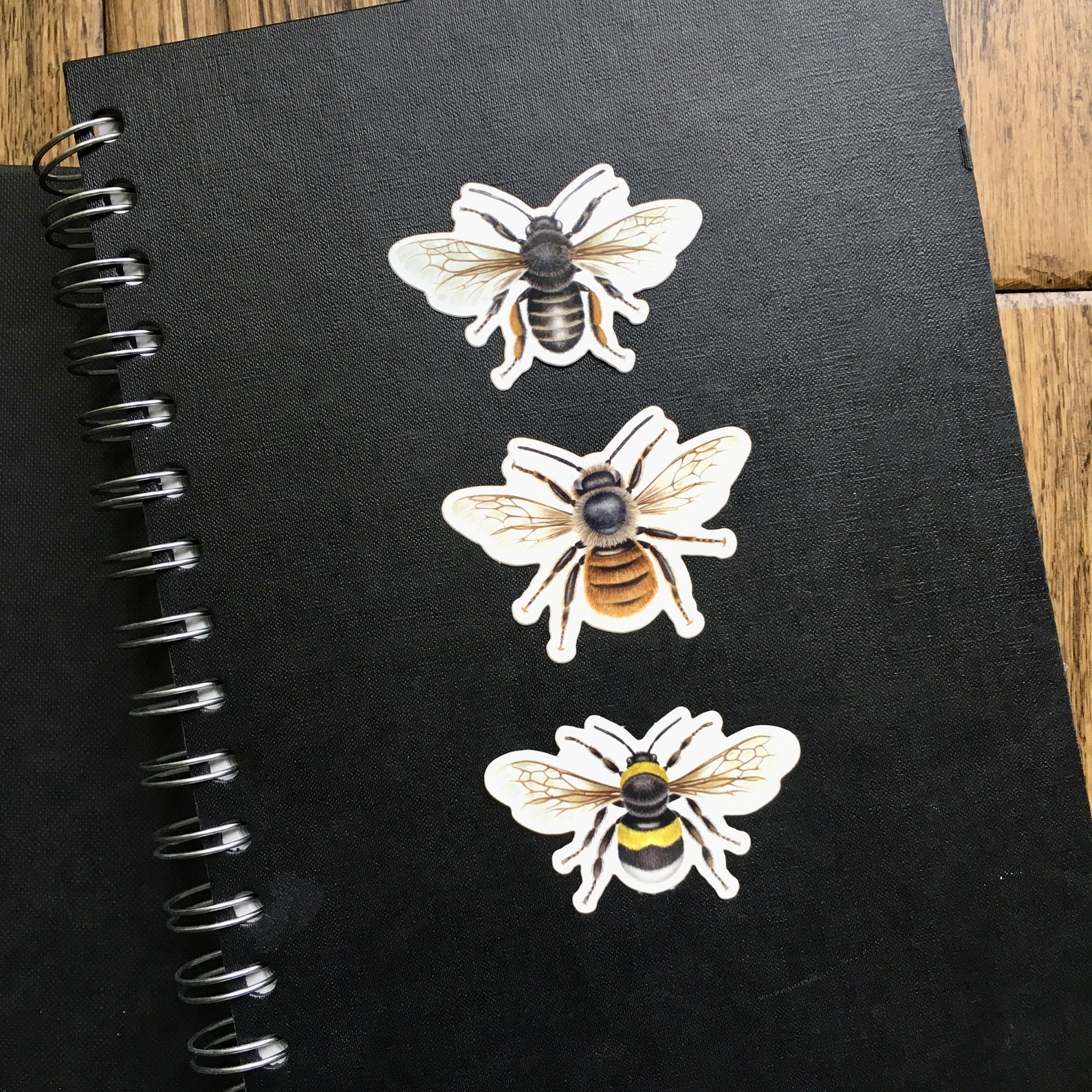 Vinyl Bee Sticker Set X3 Weatherproof Gothic Wildlife - Etsy