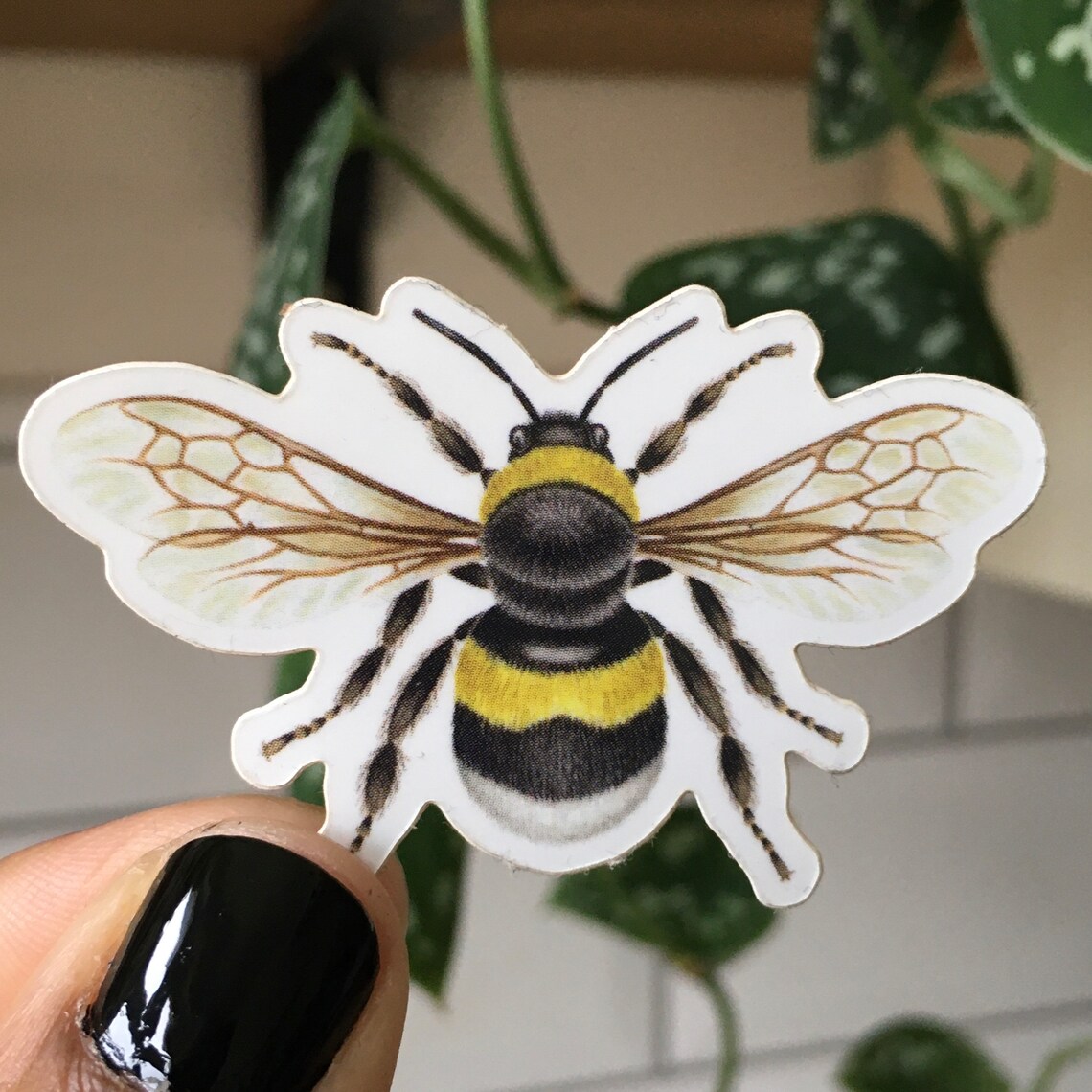 Vinyl Bee Sticker Set X3 Weatherproof Gothic Wildlife - Etsy