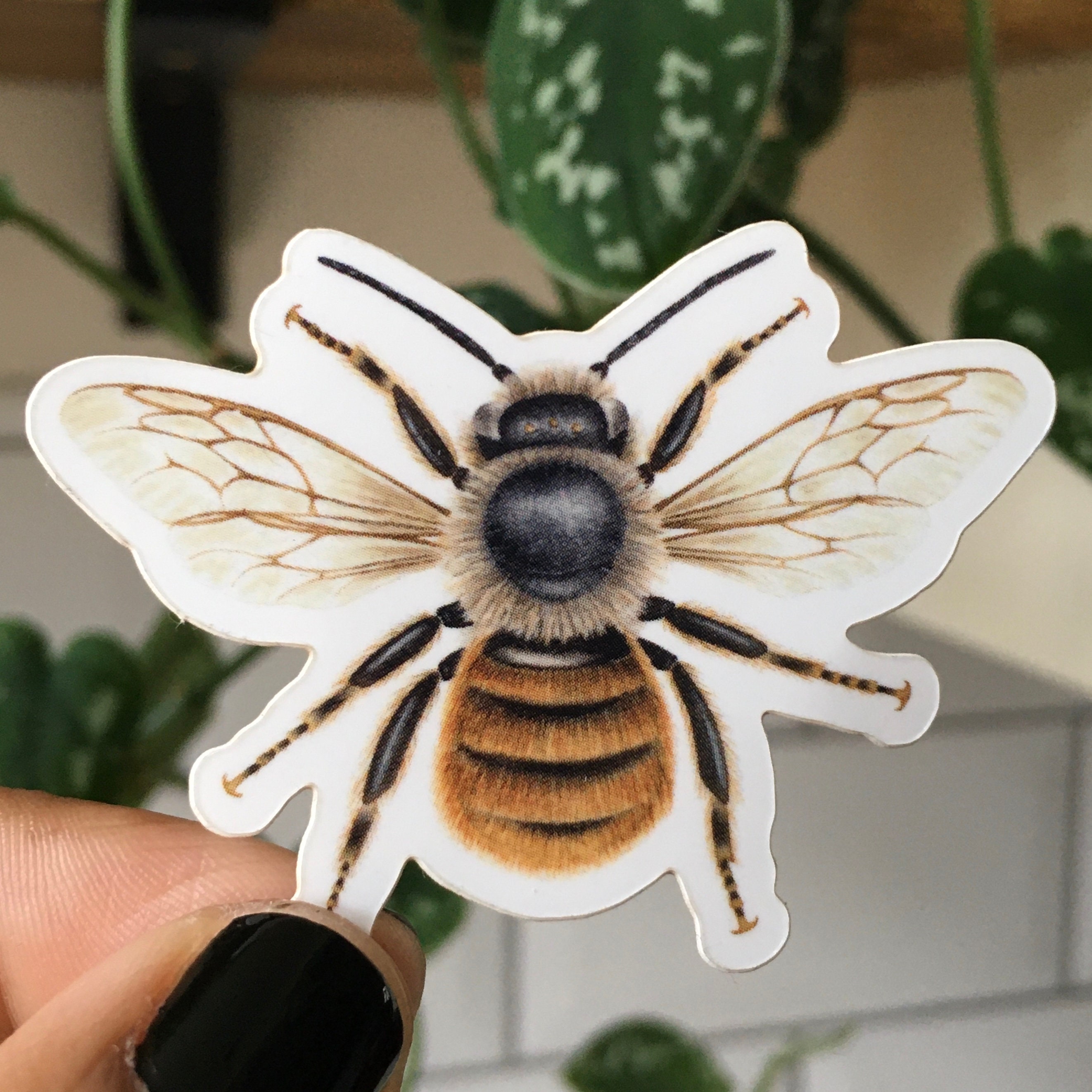 Vinyl Bee Sticker Set X3 Weatherproof Gothic Wildlife - Etsy