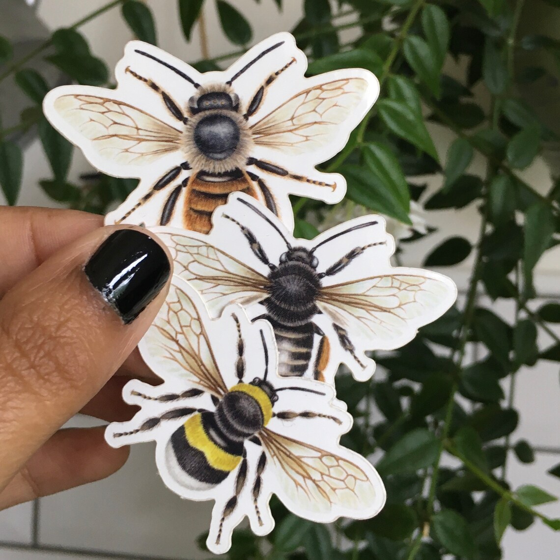 Vinyl Bee Sticker Set X3 Weatherproof Gothic Wildlife - Etsy