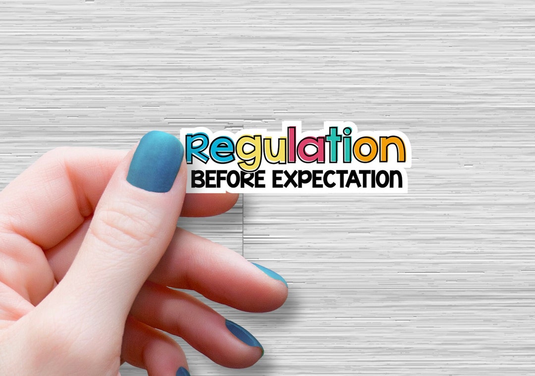 Regulation Before Expectation Sticker - Autism Disability Special Needs ...