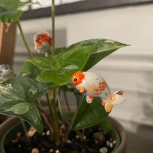 Handmade Plant Accessory/ Decor Ranchu Goldfish Plant Buddy - Etsy