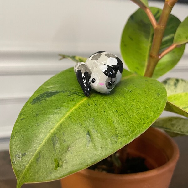 Plant Propagation Buddy - Etsy