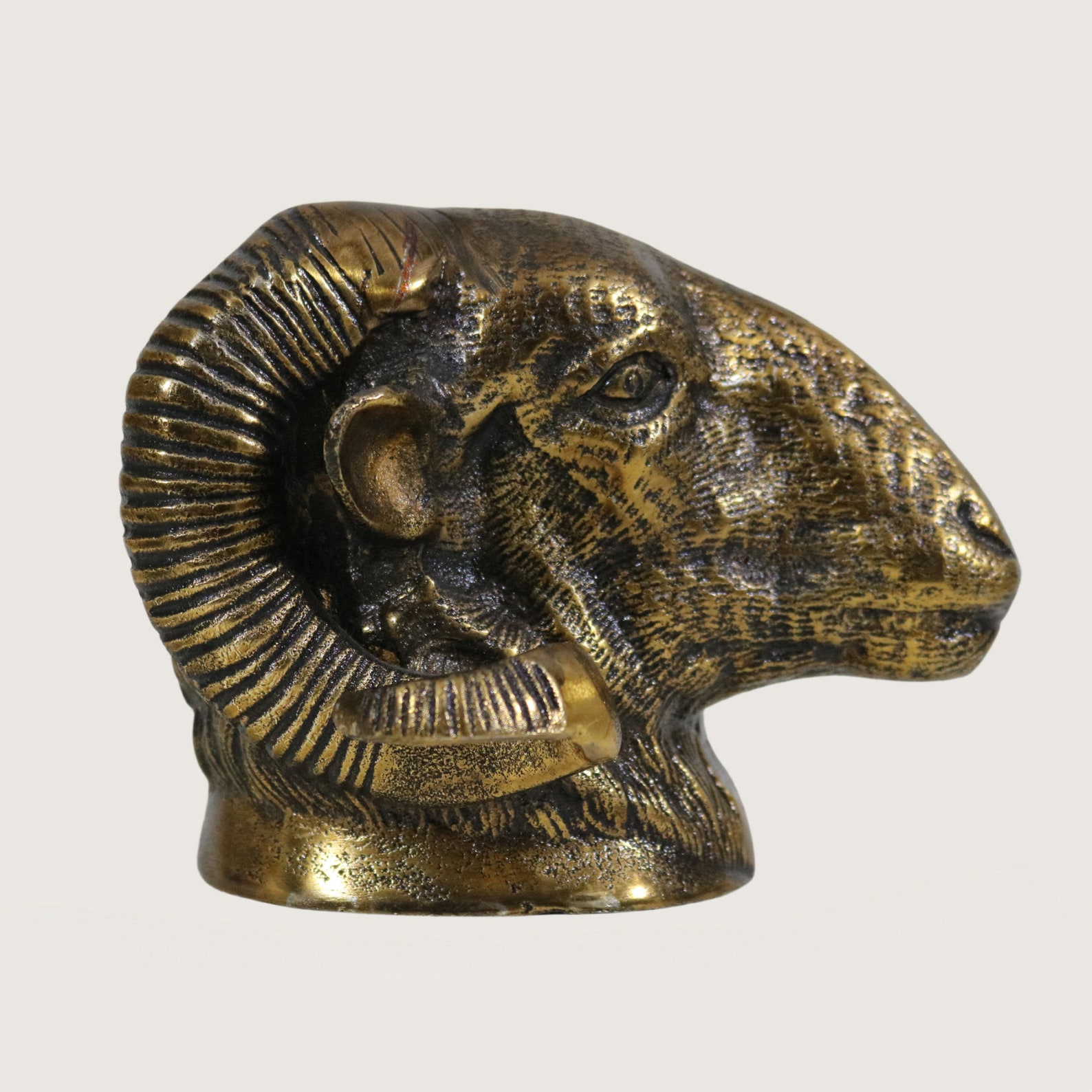 Ram Head Wall Decor - Etsy