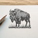 Bison Stamp, Animal Stamp, Wooden Stamp, Hand Carved, Printing Block ...