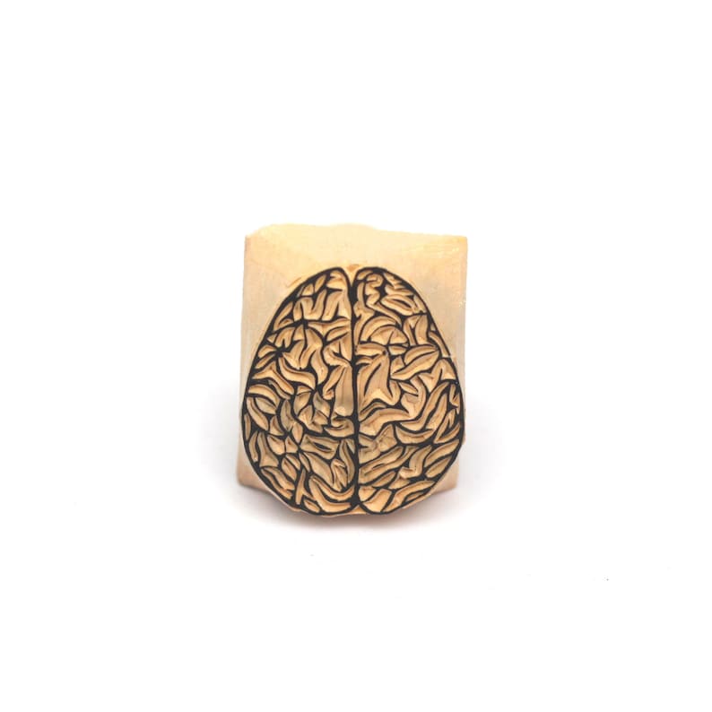 Brain Stamp, Human Brain Stamp, Hand Carved, Printing Block, Clay Stamp ...