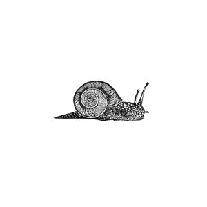Snail Stamp, Animal Stamp, Wooden Stamp, Hand Carved, Pottery Stamp ...