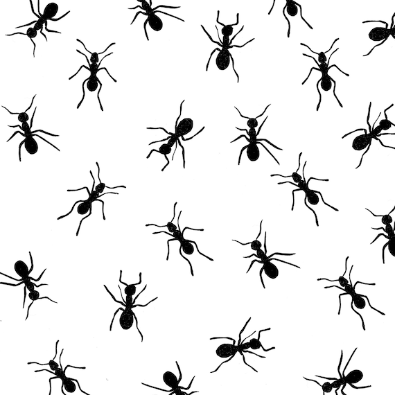 Set of 3 Ants Stamp Ant Stampinsect Stamp Pattern Stamp - Etsy