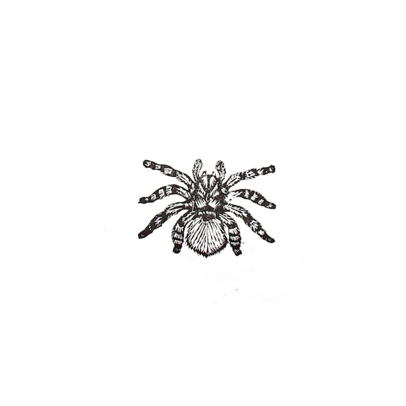 Tarantulas Stamp Spider Stampanimal Stamp Insect Stamp - Etsy