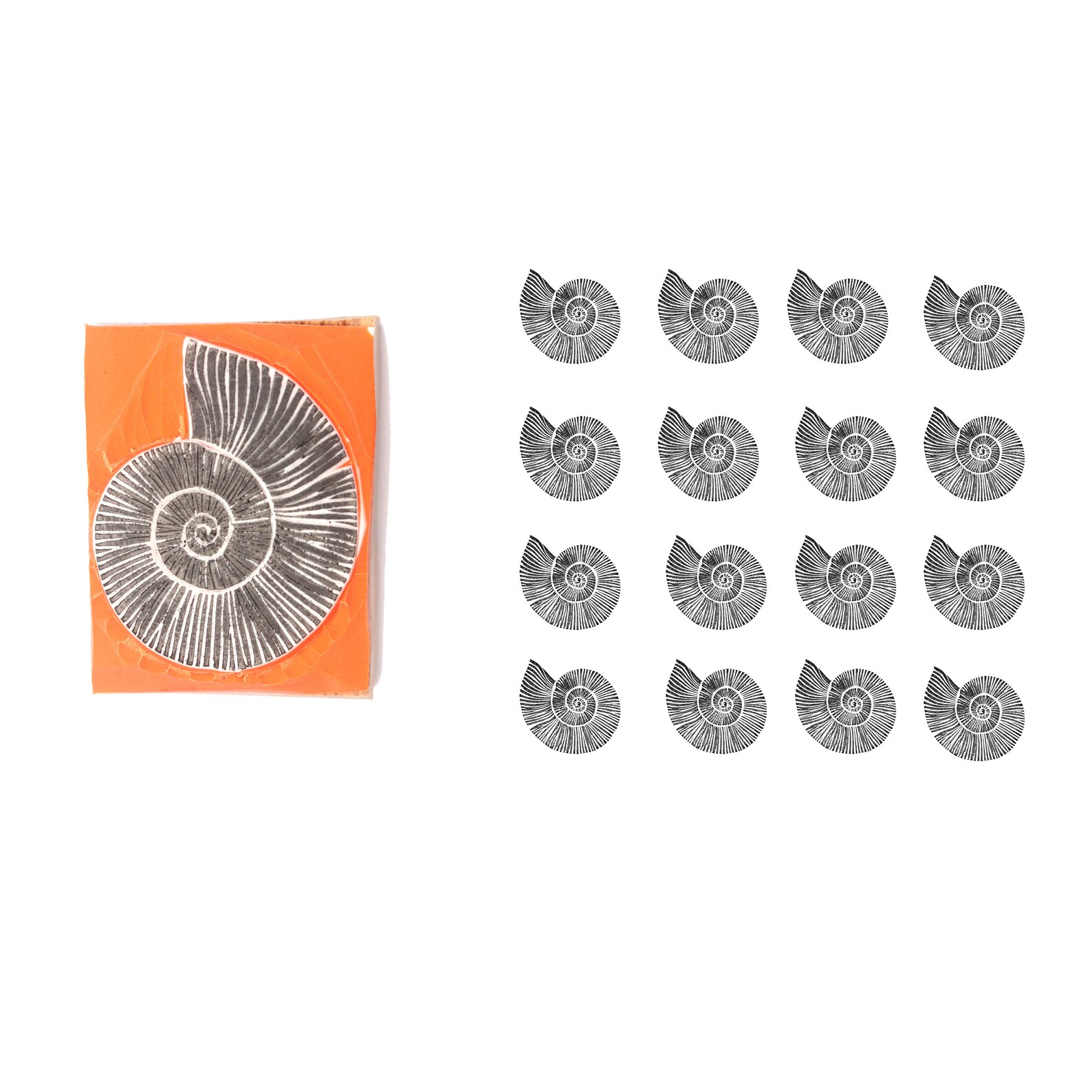 Ammonites Stamp Seashell Stamp Fossil Stamp Wooden Stamp - Etsy