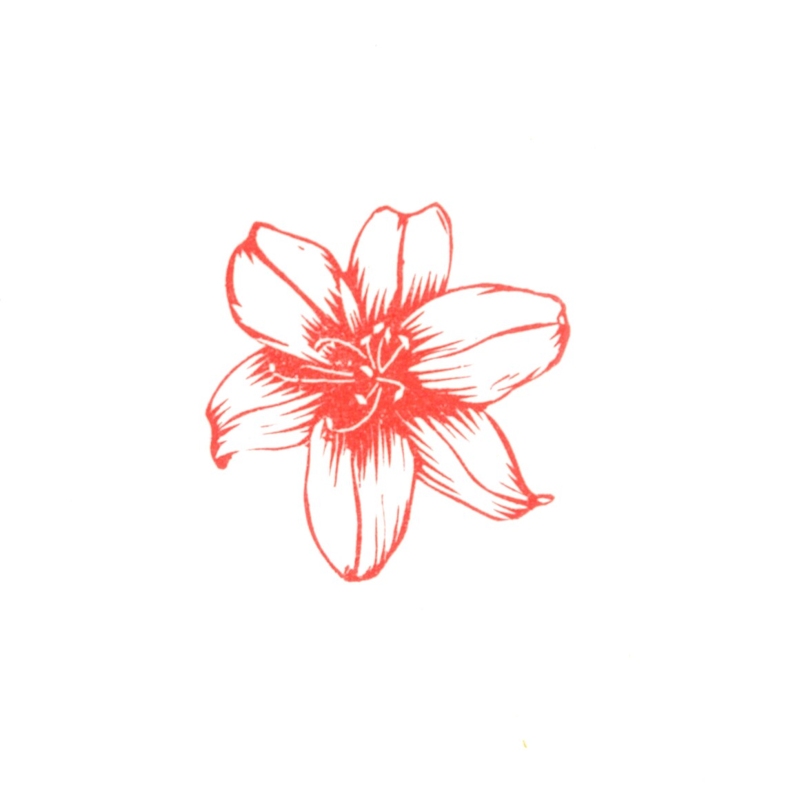 Lily Flower Stamp, Flower Stamp, Flower Stamp, 4cm Stamp, Wooden Stamp ...