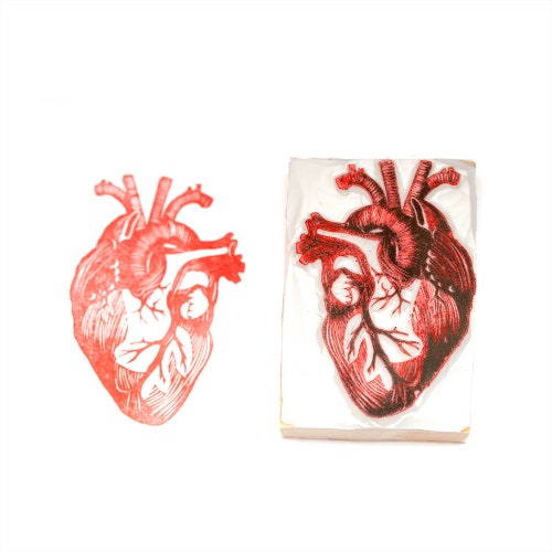 Anatomical Human Heart Hand Carved Rubber Stamp - Etsy