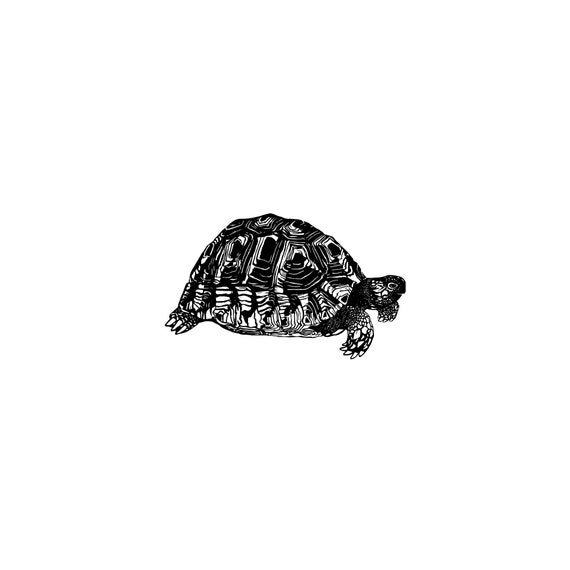 Stamp Turtle Stamp Sea Turtle Stamp Wooden Stamp Hand - Etsy