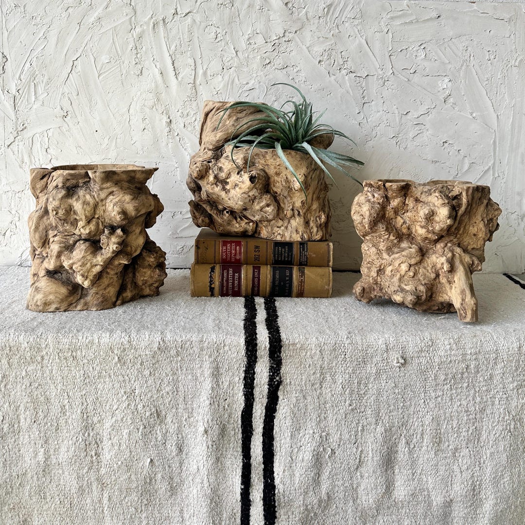 Driftwood Root Wood Sculpture Planter Vase Pot Vessel - Etsy