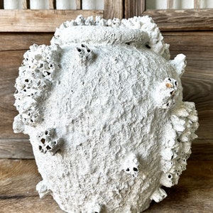 White Shell Barnacle Vase Urn Pot - Etsy