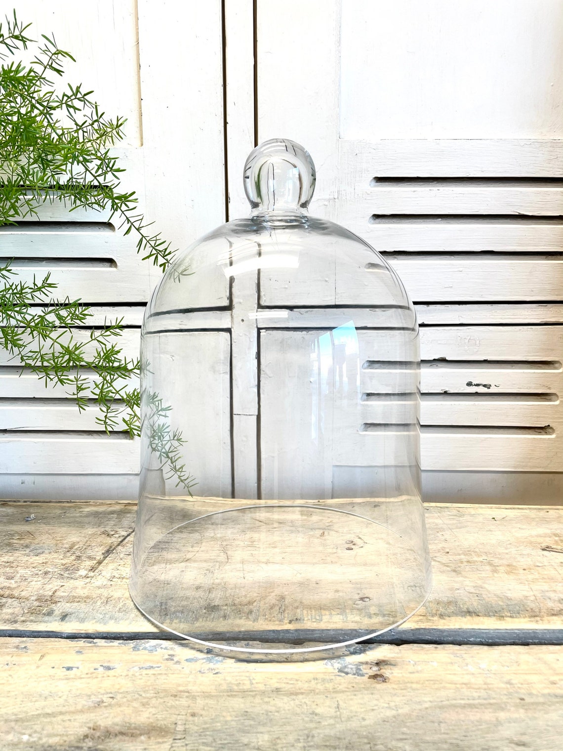Glass Display Cloche Dome 12 - Etsy