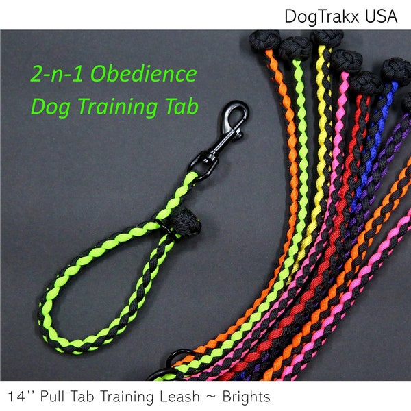 Dog Leash - Etsy