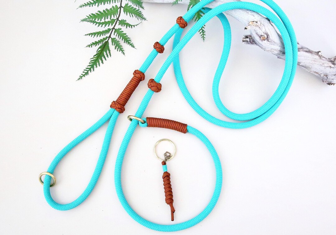 Slip Lead for Dogs, Paracord Rope Slip Collar Leash in One, Teal & Rust ...