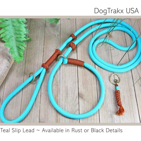 Teal Dog Leash - Etsy