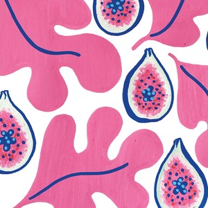 Pink Fig Illustration, Fruit Wall Art, Colorful Art, Handdrawn ...