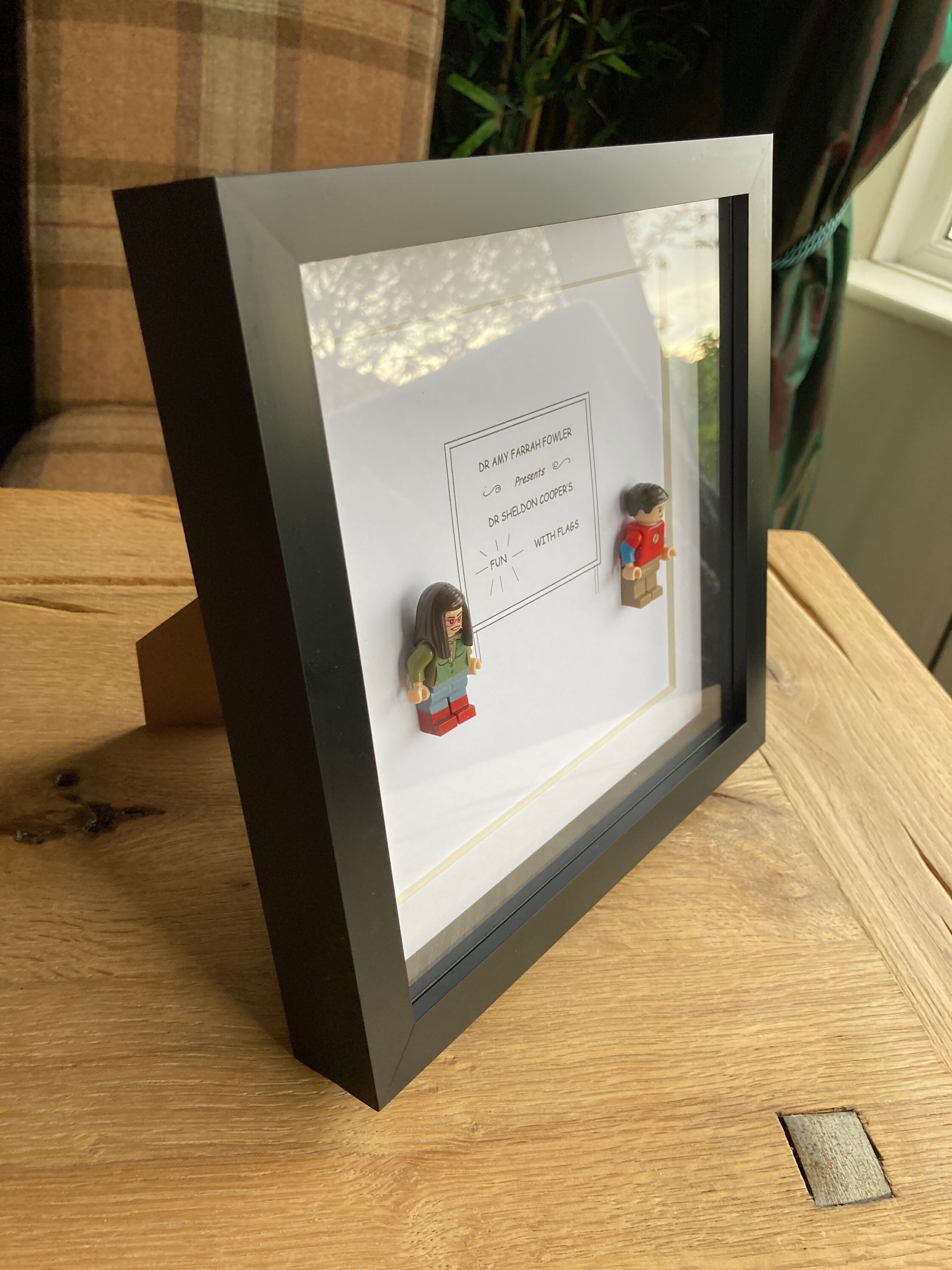 The Big Bang Theory Fun With Flags Picture With Sheldon and - Etsy UK