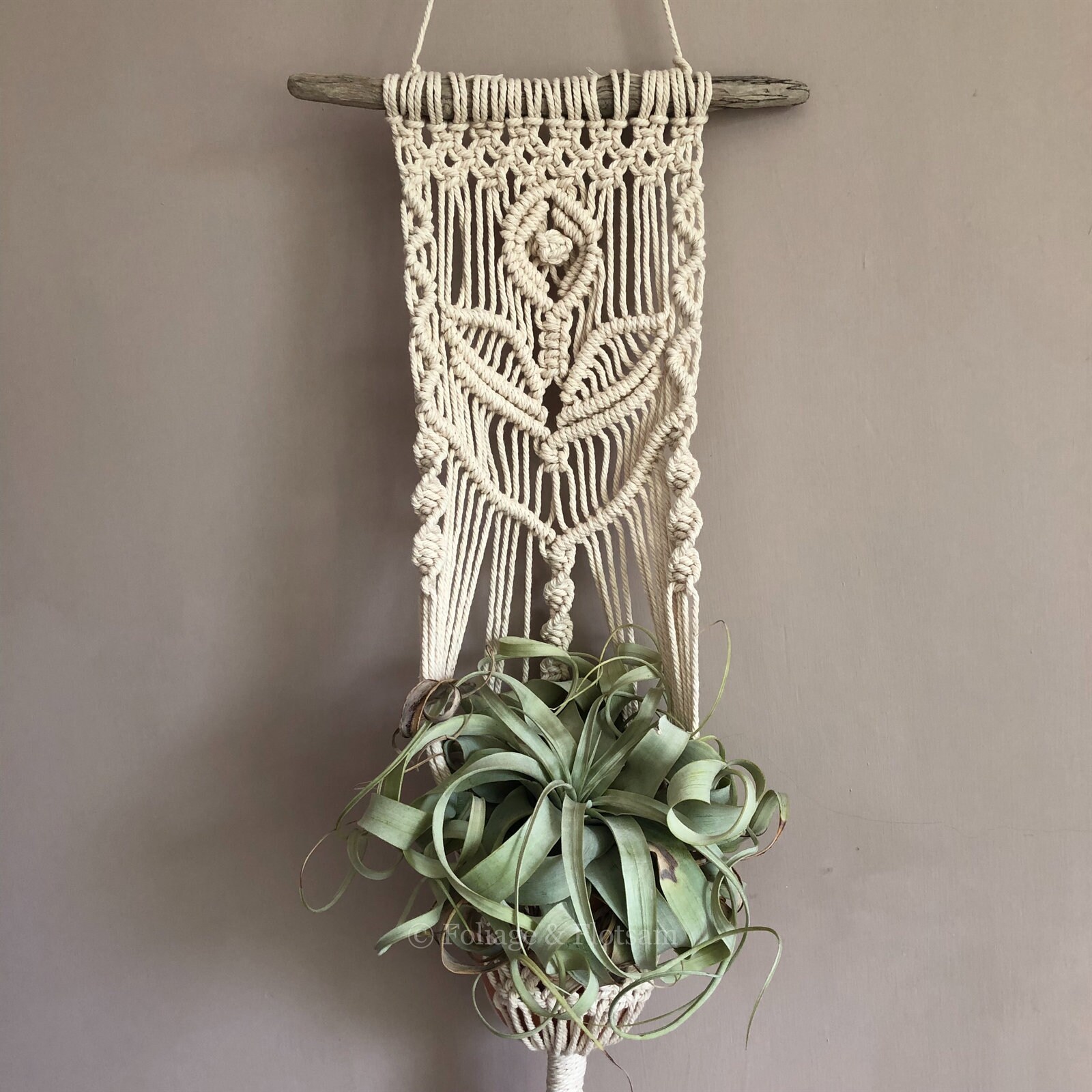 Macrame wall planter Hanging indoor plant holder Boho plant | Etsy