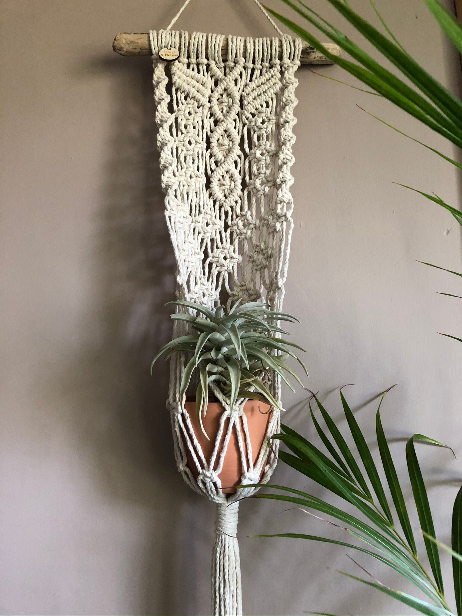Macrame Wall Planter Hanging Indoor Plant Holder Boho - Etsy