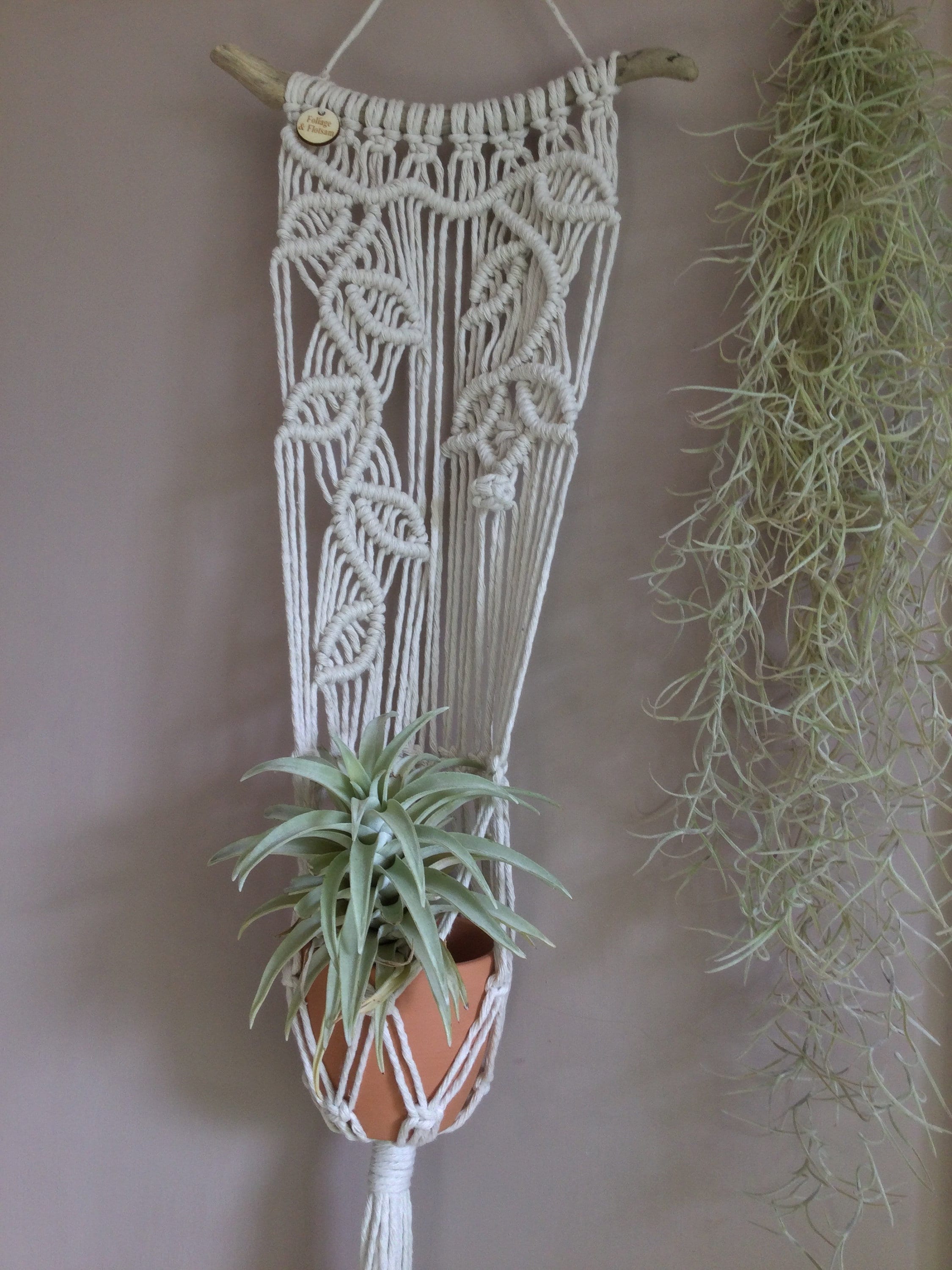 Macrame Wall Hanging Planter Indoor Plant Holder Boho Plant - Etsy UK
