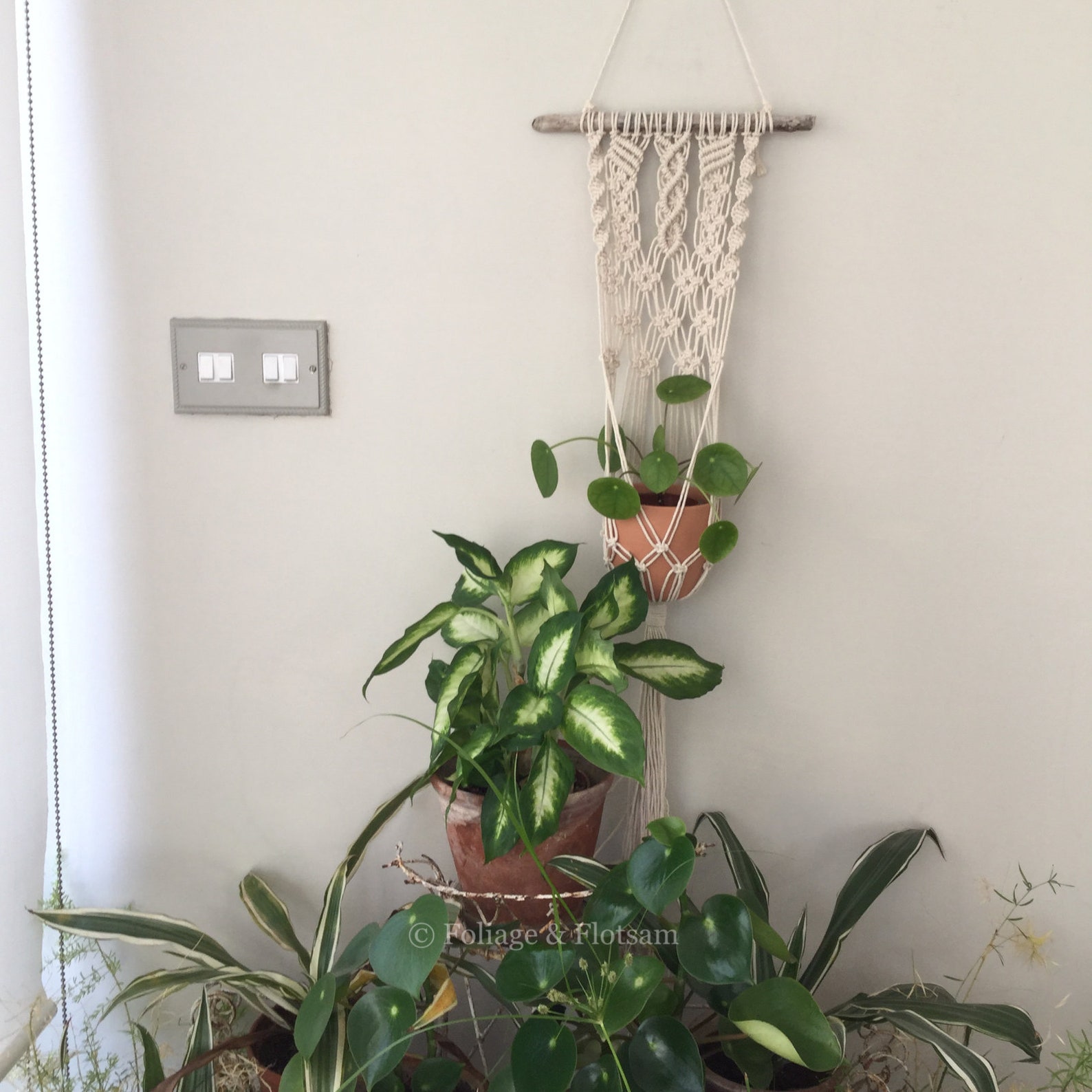 Macrame Wall Planter Hanging Indoor Plant Holder Boho - Etsy