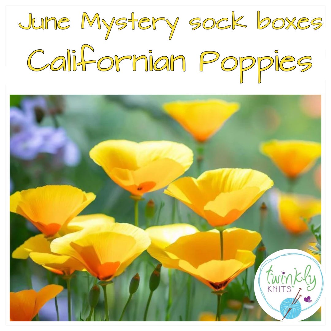 June 2025 Sock Box, Californian Poppy Themed Sock Box, Yarn ...