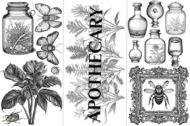 Apothecary Mini Rub-on Transfer Set - Etsy
