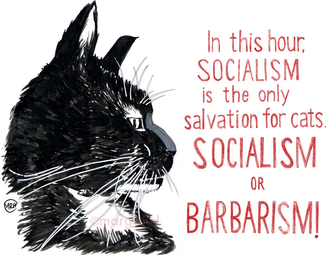 Pablo the Socialist Cat Small Print A5 - Etsy