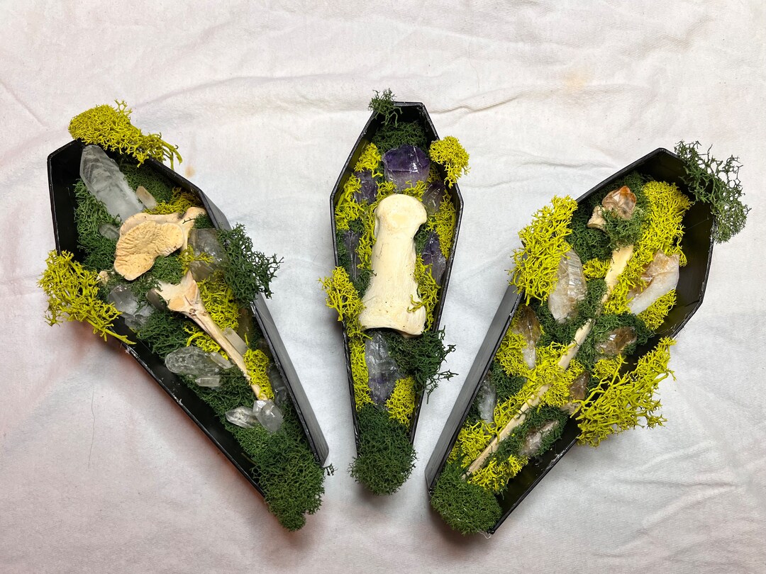 Crystal Coffins - Etsy