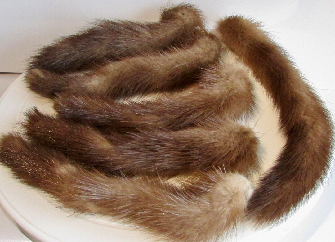 Vintage Beautiful Group of 6 Natural Real Mink Fur Tails/pretty Group ...