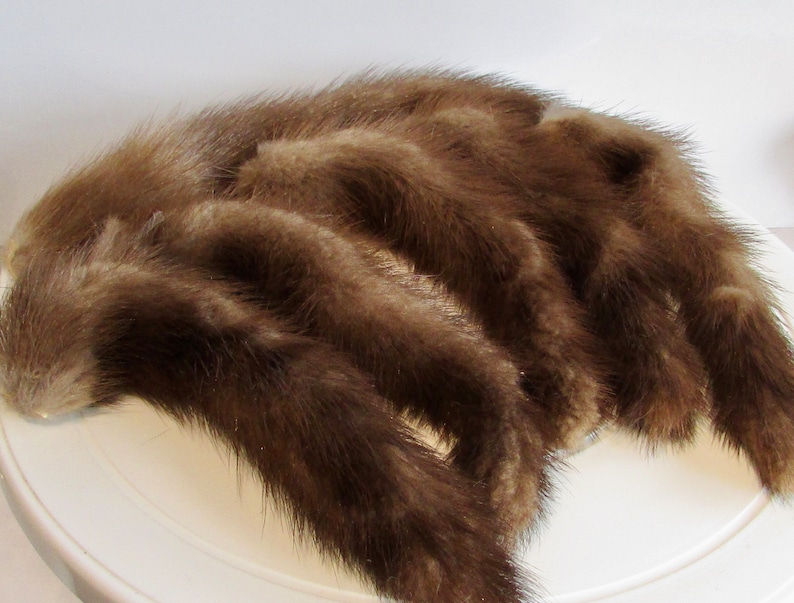 Vintage Beautiful Group of 6 Natural Real Mink Fur Tails/pretty Group ...