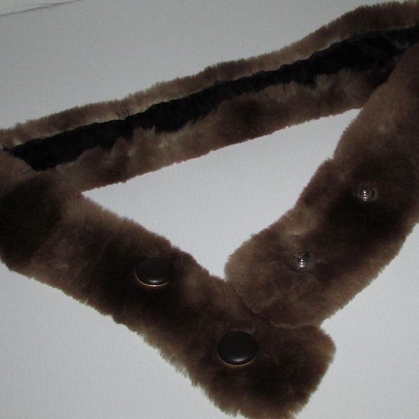 Shaved Beaver - Etsy