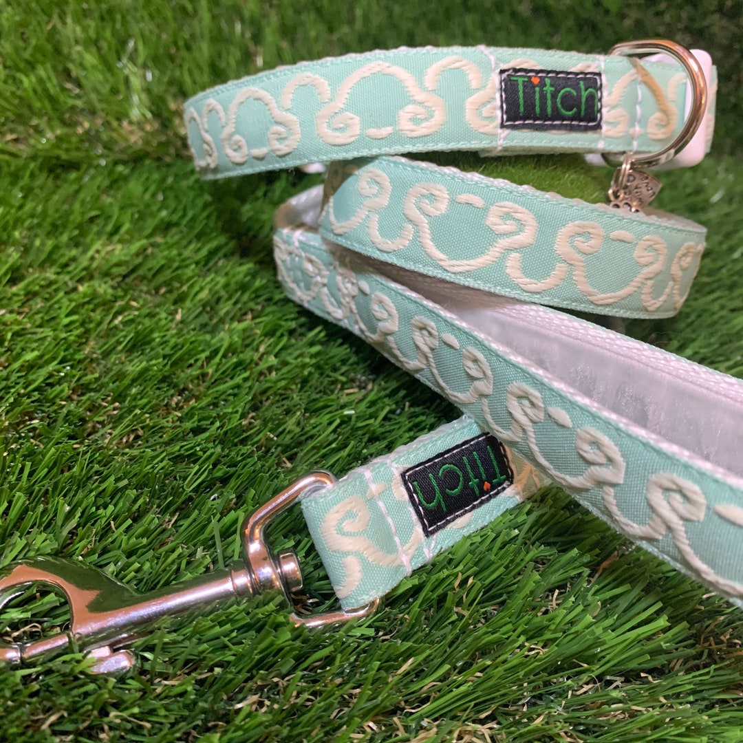 Mint Green and White Elegant Dog Collar and Lead 20 Mm Wide - Etsy