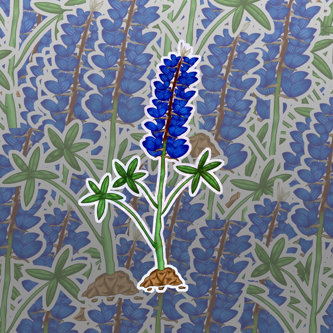 Bluebonnet Vinyl Sticker Art Flower UV Resistant Laminate - Etsy