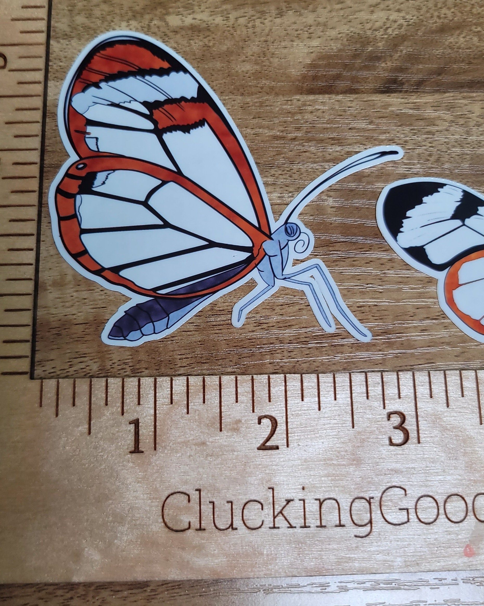 Glasswing Butterfly Clear Transparent Vinyl Sticker - Etsy
