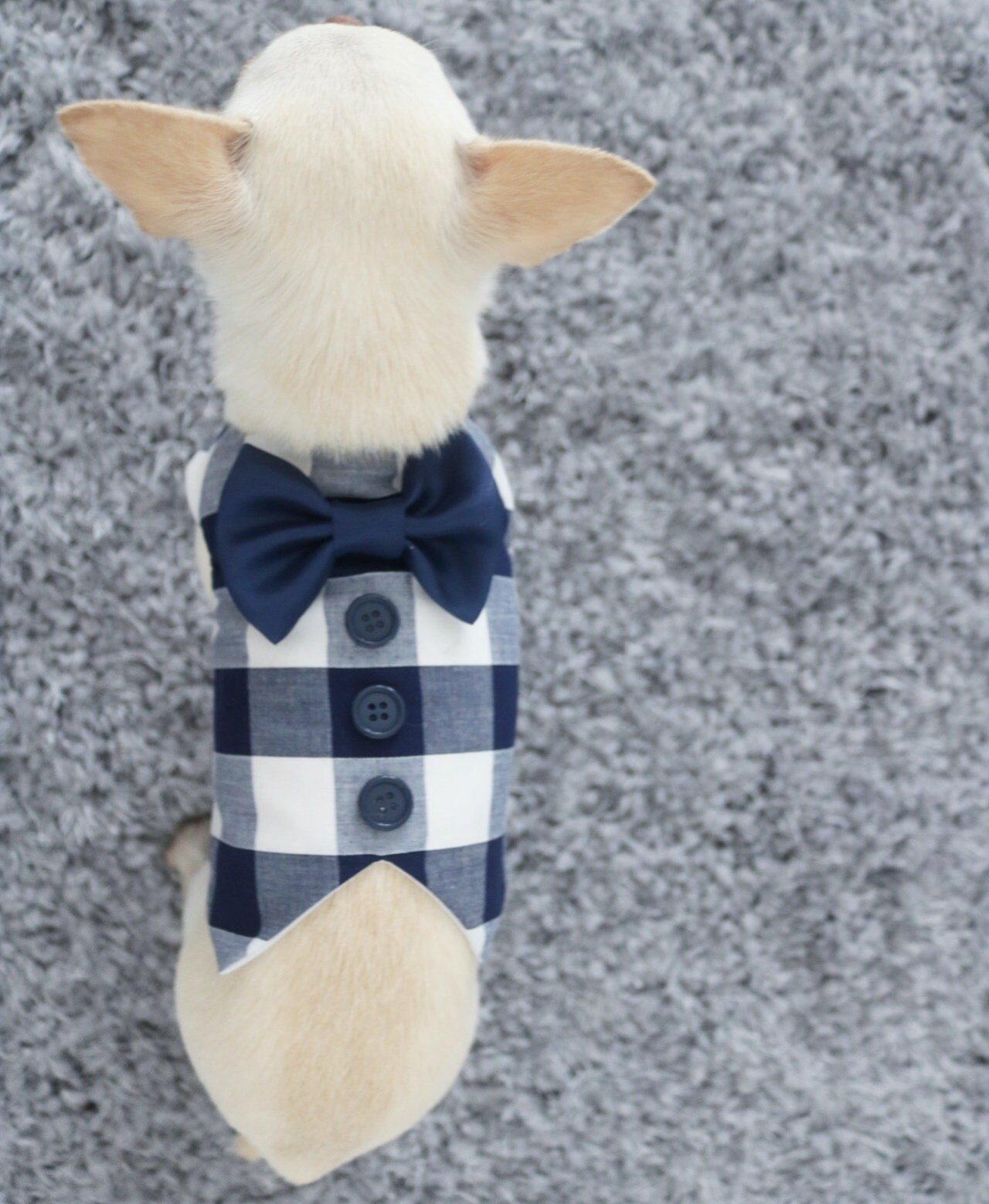 Pretty Little Paws - Handmade Navy Blue Gingham Dog Clothing Chihuahua ...