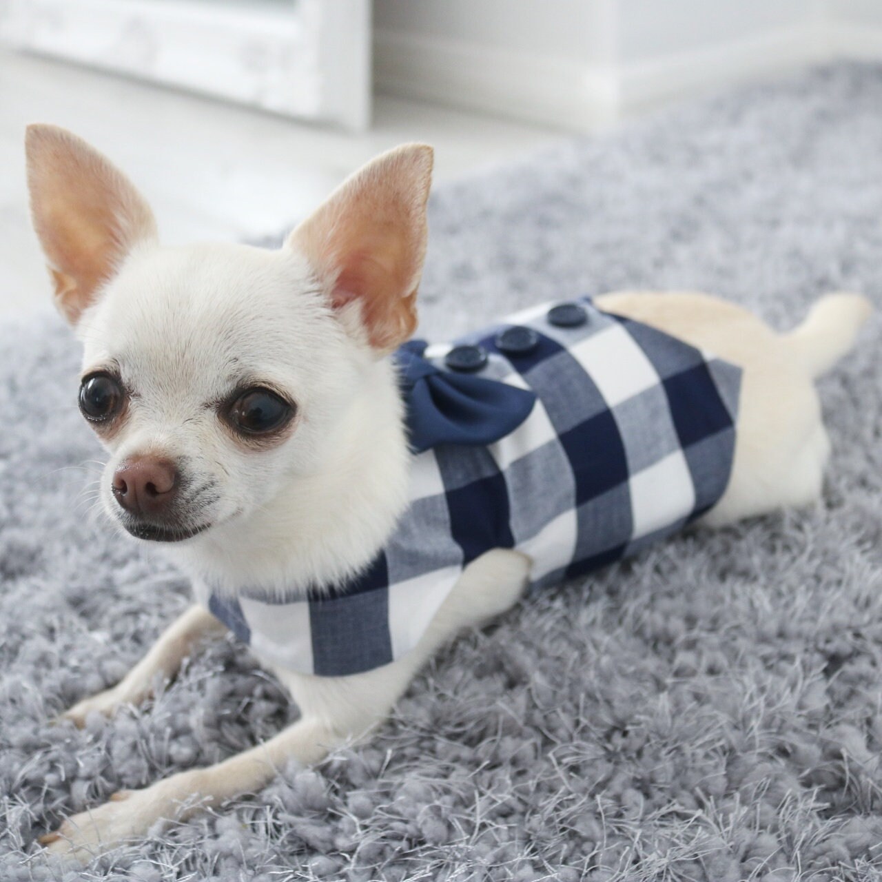 Pretty Little Paws - Handmade Navy Blue Gingham Dog Clothing Chihuahua ...