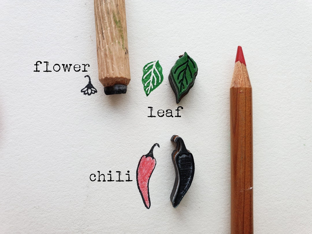 Chilli Stamp, 3 Stamps Kit, Chilli Pepper, Leaf, Flower. Draw Your Own ...