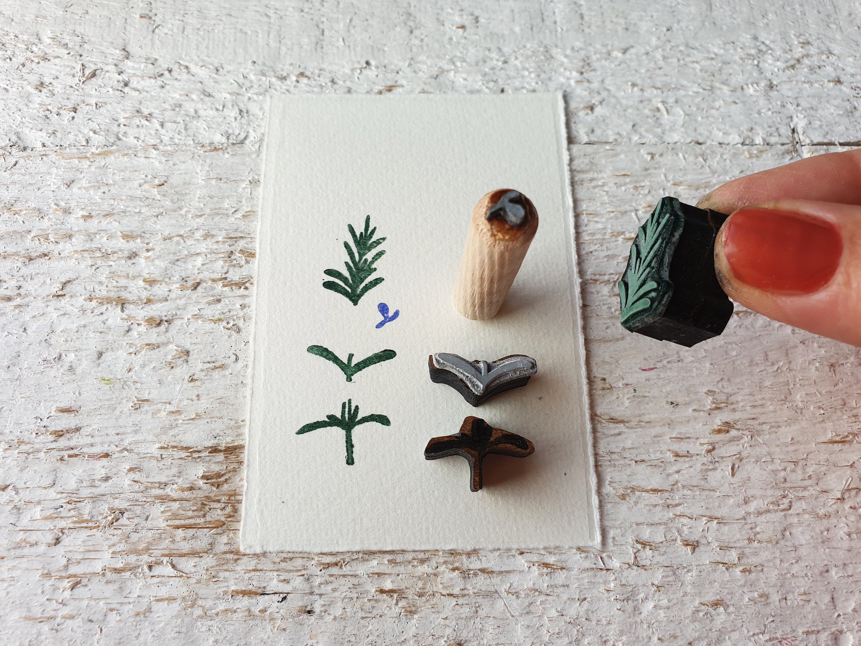 Rosemary Plant Stamps, Kit of 4 Stamps, Floral Stamp, Medicinal Plant ...