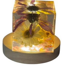 Floral Box With Light up Stand/home Accessories/real Flowers/forever ...