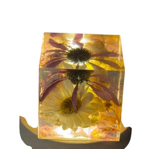 Floral Box With Light up Stand/home Accessories/real Flowers/forever ...