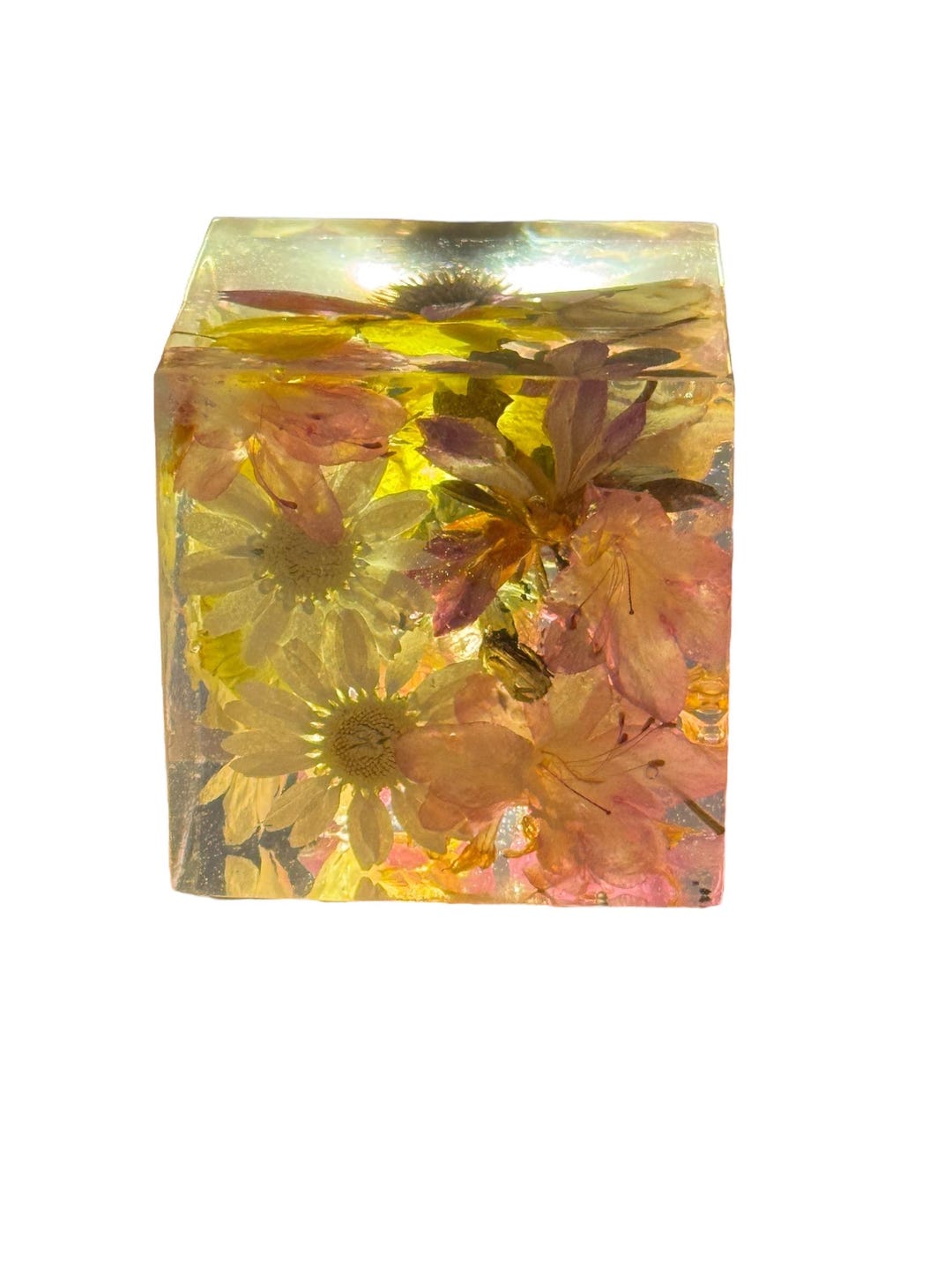 Floral Box With Light up Stand/home Accessories/real Flowers/forever ...