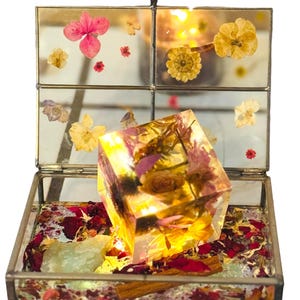 Floral Box With Light up Stand/home Accessories/real Flowers/forever ...