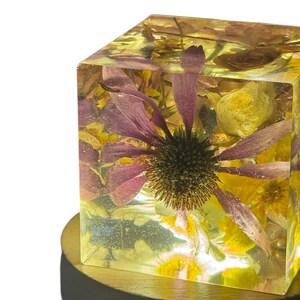 Floral Box With Light up Stand/home Accessories/real Flowers/forever ...